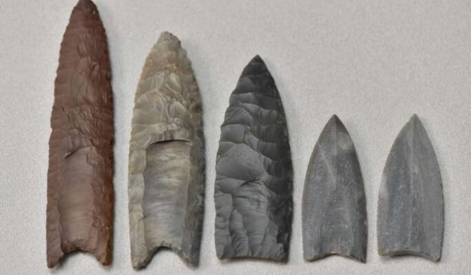 The Role of Blade Fuller Types in The Sword Design