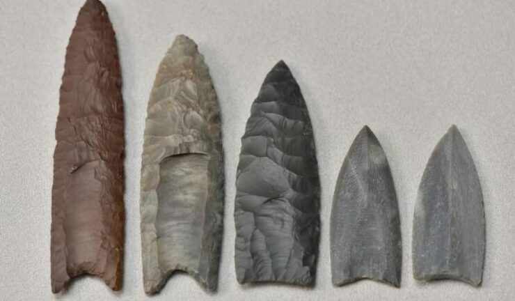 The Role of Blade Fuller Types in The Sword Design