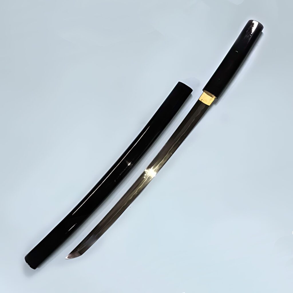 Wakizashi Swords