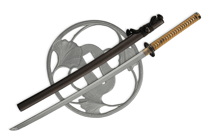 Tachi vs Katana: Design, History, and Combat Differences
