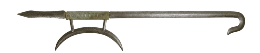 All Types of Chinese Swords (With Pictures)