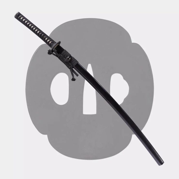 Iaito Swords for Iaido Pratice from Reputable Brands