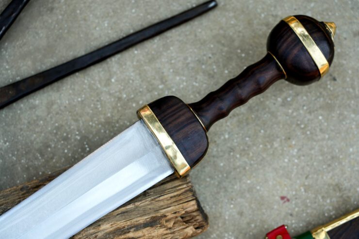 Mainz Gladius Sword with Dark Wood Hilt and Round Pommel